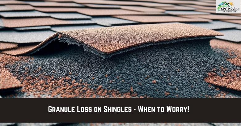 Granule Loss on Shingles – When to Worry! - APC Roofing | Florida’s ...