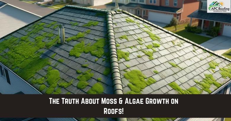 The Truth About Moss and Algae Growth on Roofs! - APC Roofing - Florida ...